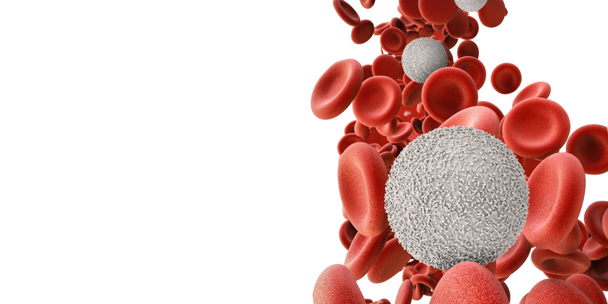 Wanneer wordt een afwijkend bloedbeeld verder onderzocht met een ...