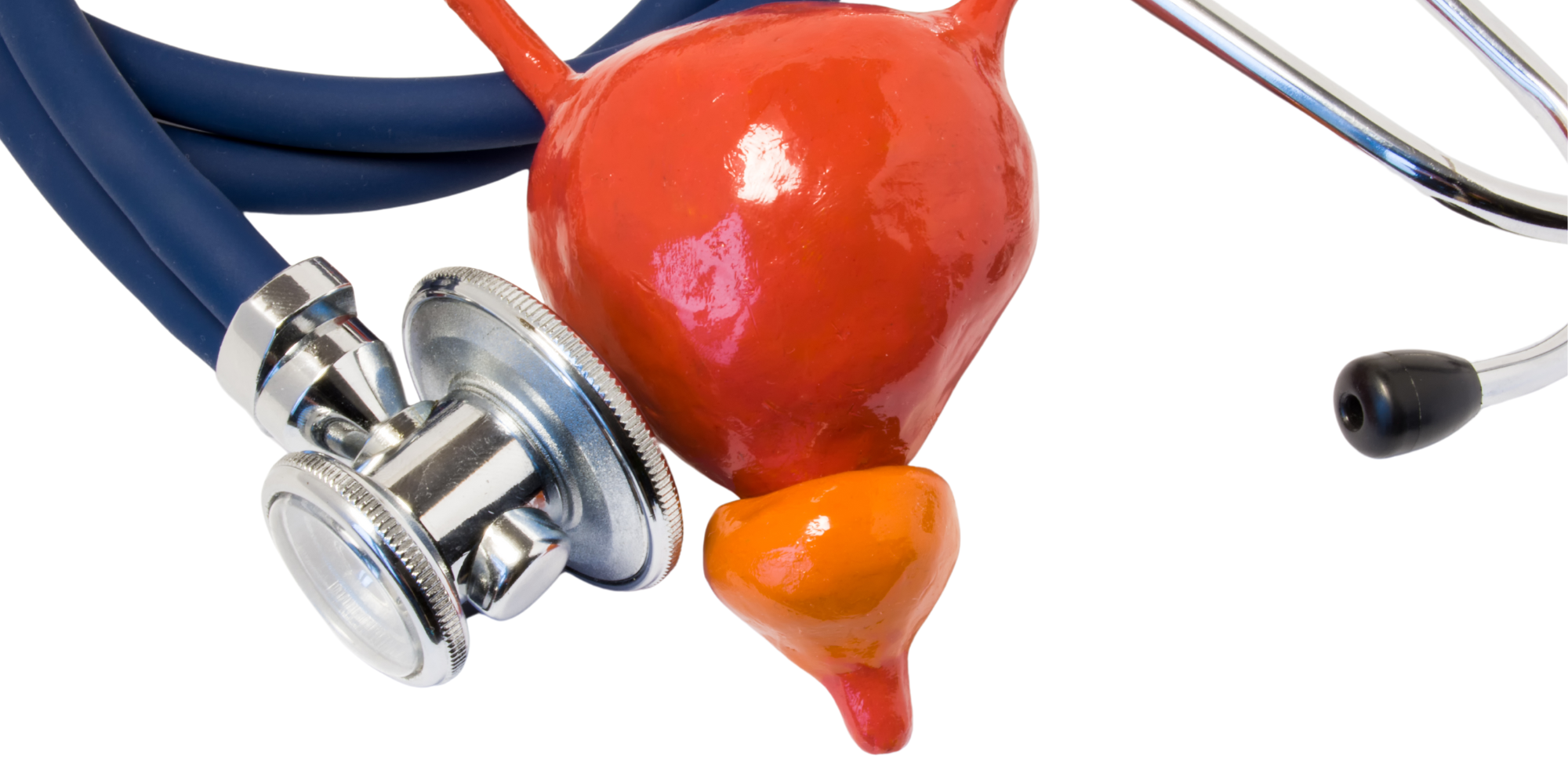 Ken je prostaat: PSA-waarde en het monitoren van veranderingen ...