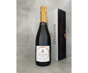 Champagne Apollonis Sources de Flagot Chardonnay Extra Brut 2013 - Le ...