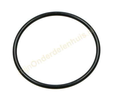 Saeco O-ring van koffiemachine DM0041082 - mijnOnderdelenhuis.nl