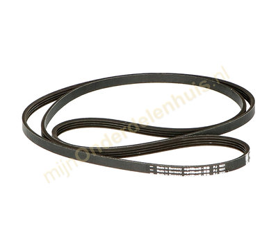 Poly-V-snaar 1651 J4 - mijnOnderdelenhuis.nl