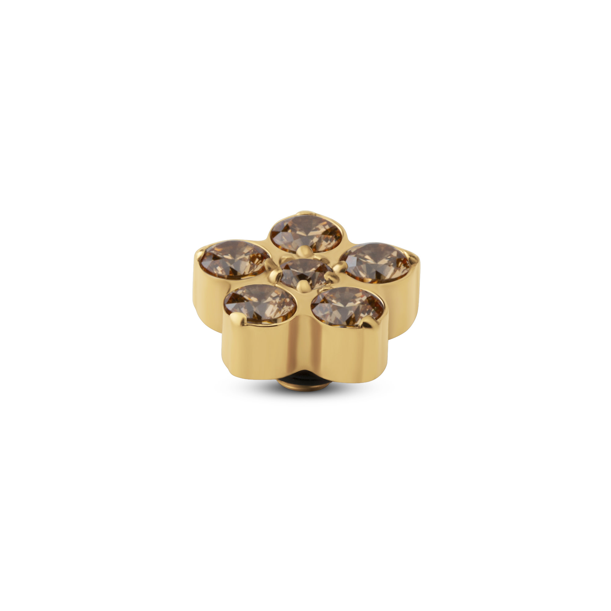 Twisted Frozen Star Champagne - Babazou