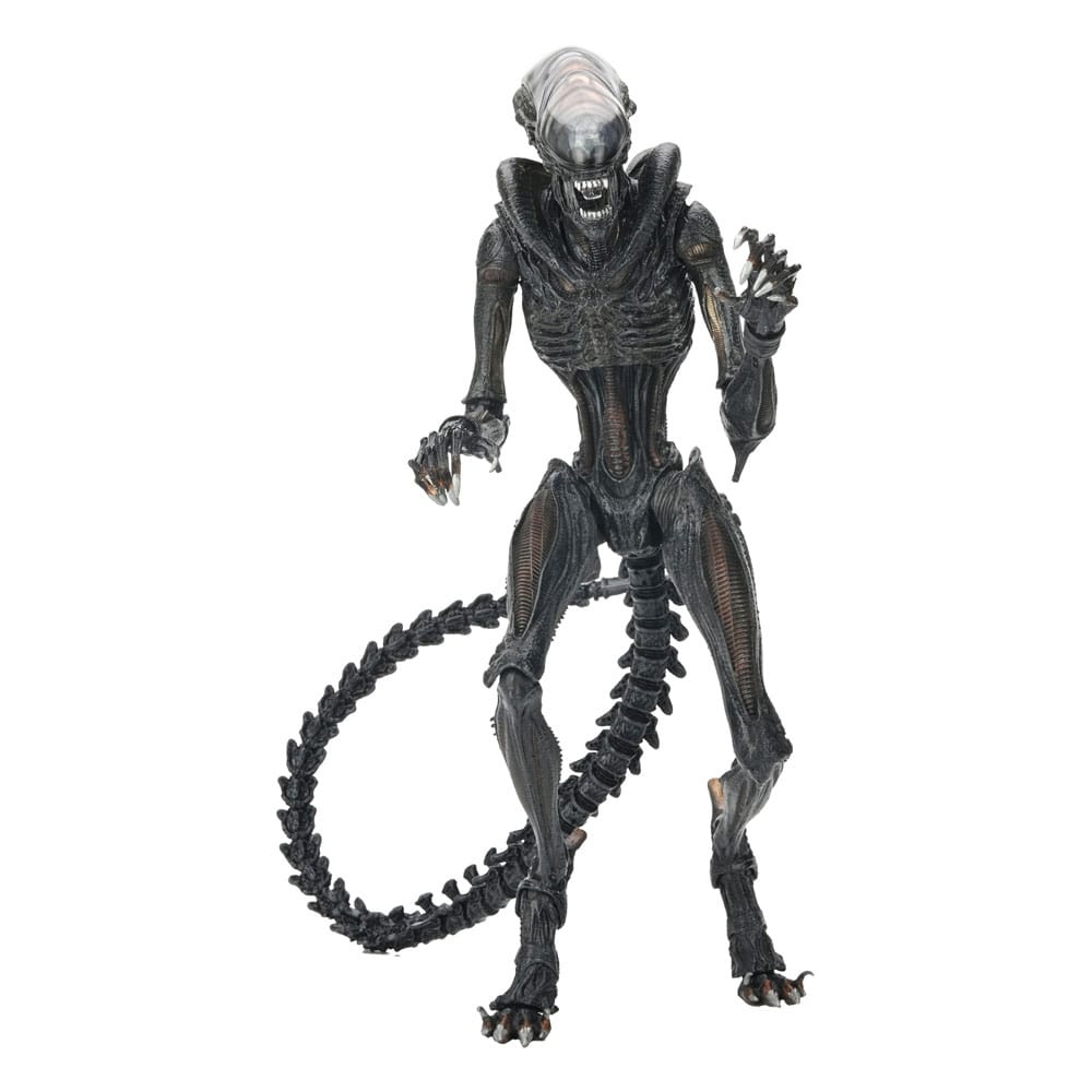 Alien: Romulus Ultimate Action Figure Scorched Xenomorph 23 cm - The ...