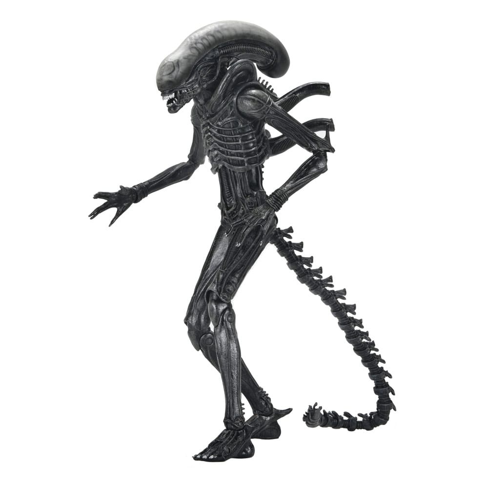 Alien: Romulus Action Figure Ultimate Xenomorph XX121 18 cm - The Movie ...