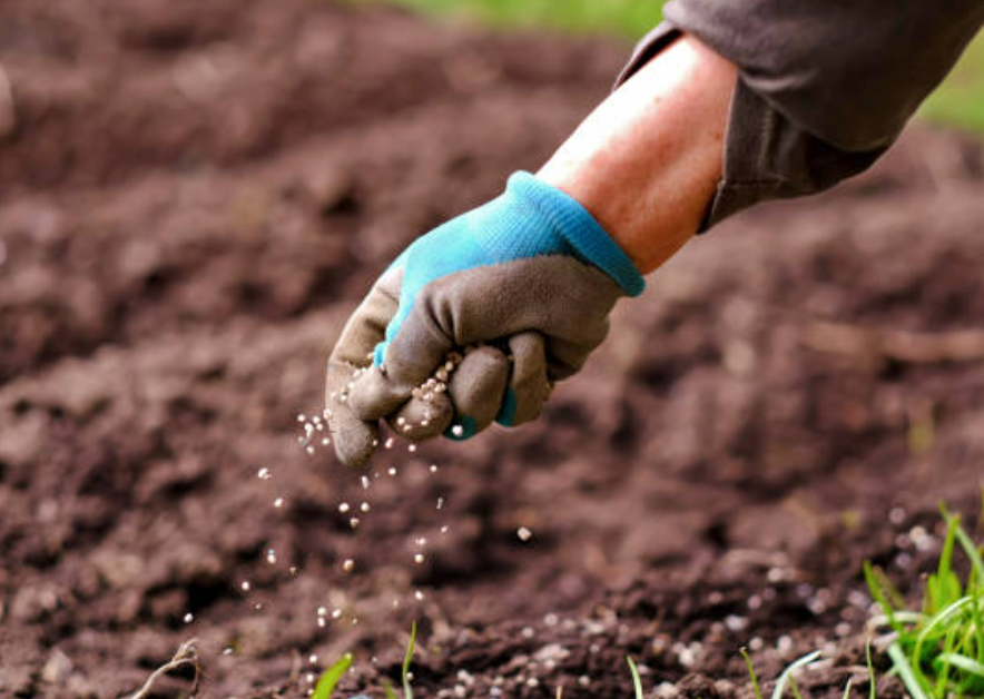 La différence entre les types d'engrais - Gazondirect.fr