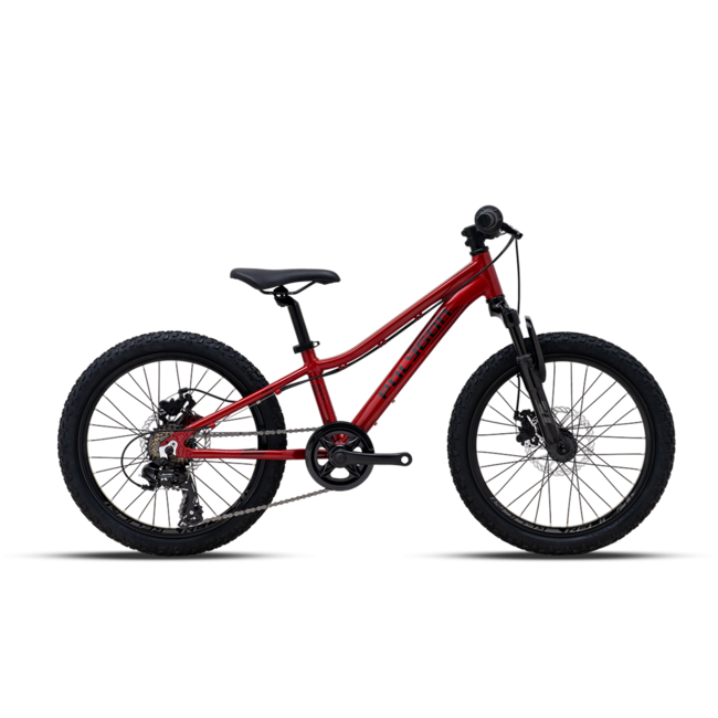 Polygon Relic 20 - Simple Bike Store