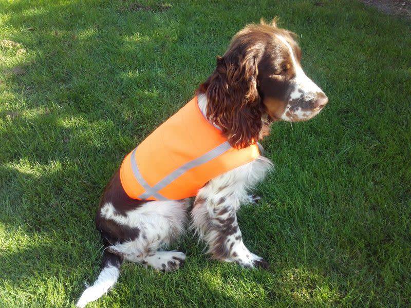 Dog Signal Vest Holstein Plus Size : L 70-86 - Euregiohunt