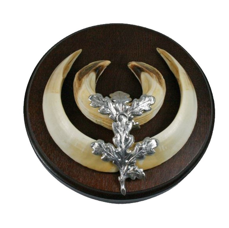 Eurohunt Eichenlaub für Keilerwaffen - Euregiohunt