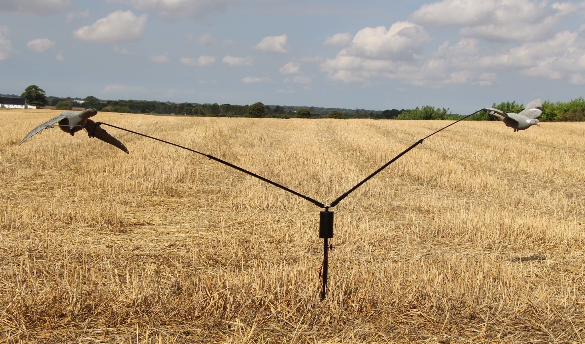 Remote controlled Pigeon Carousel - Euregiohunt