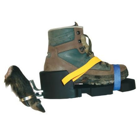 Waidwerk Tracking Shoe Classic - Euregiohunt