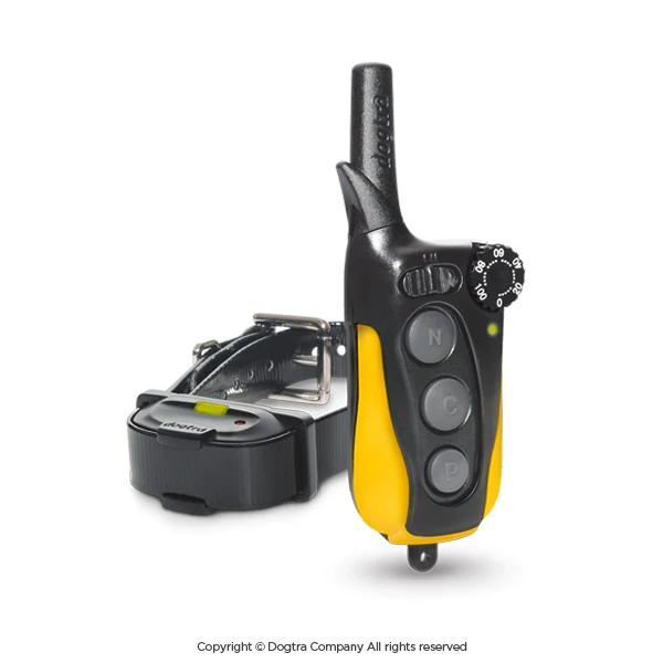 IQ MINI - Euregiohunt