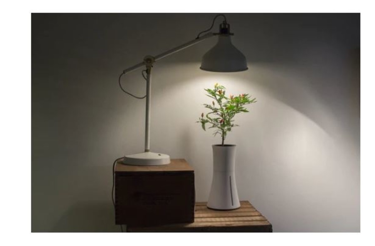 Botanium Grow Lamp - Tarwegraskoning.nl