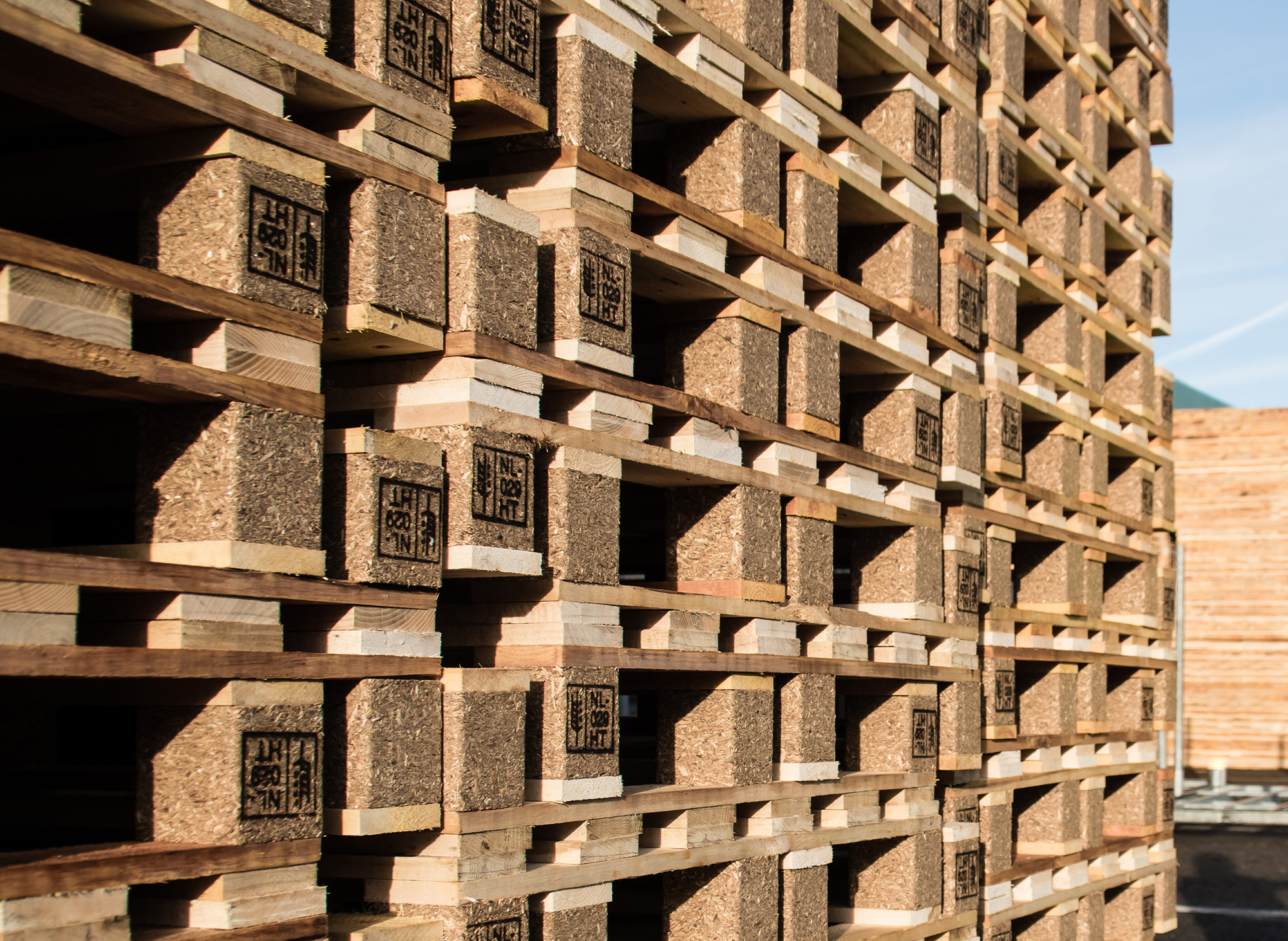 Van welk soort hout worden pallets gemaakt? | Logistiekonline.be