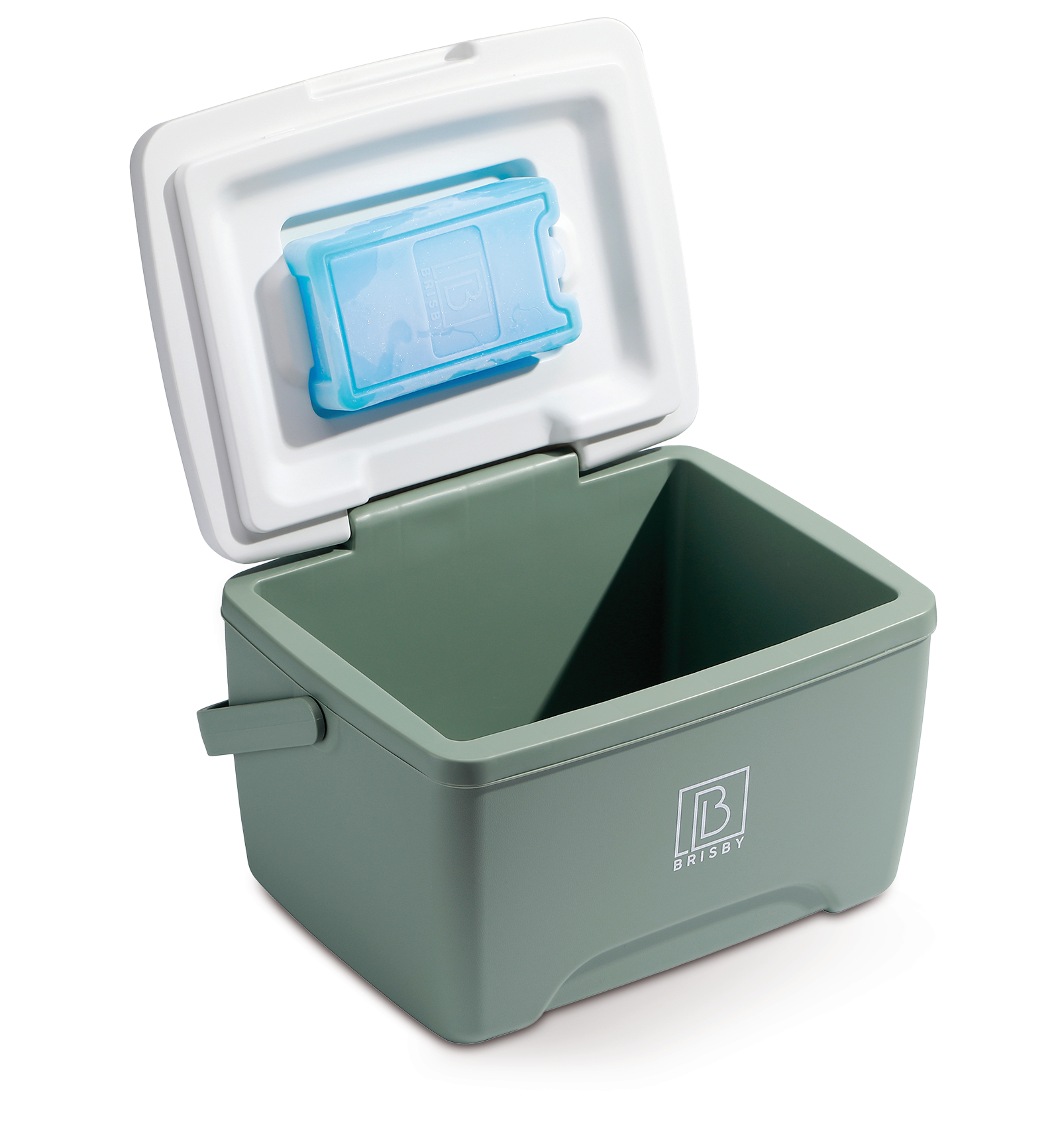 Nevera portátil Brisby 8L Verde