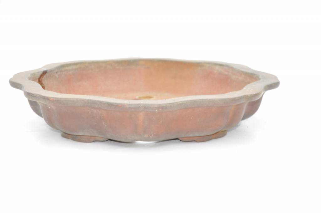 Lotus pot - Bonsai Plaza