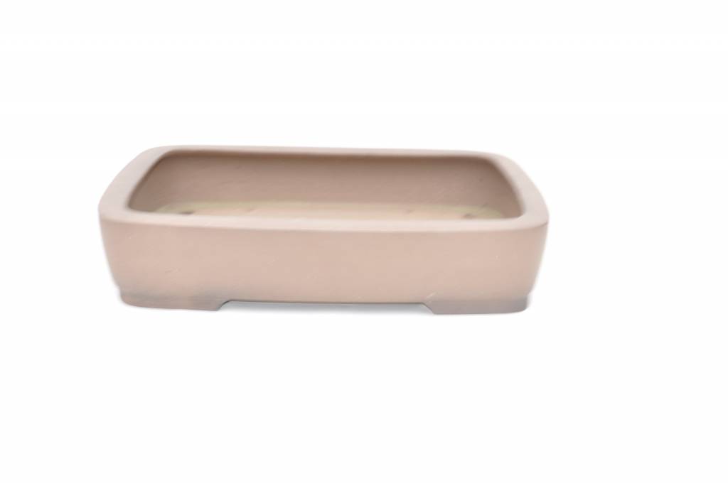 Rectangular pot 46,2 cm Sanpou, Tokoname - Bonsai Plaza
