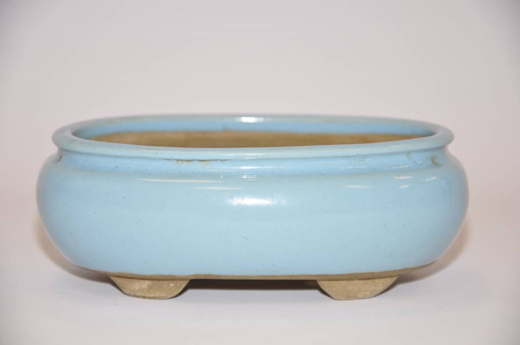Antique Chinese pot - Bonsai Plaza