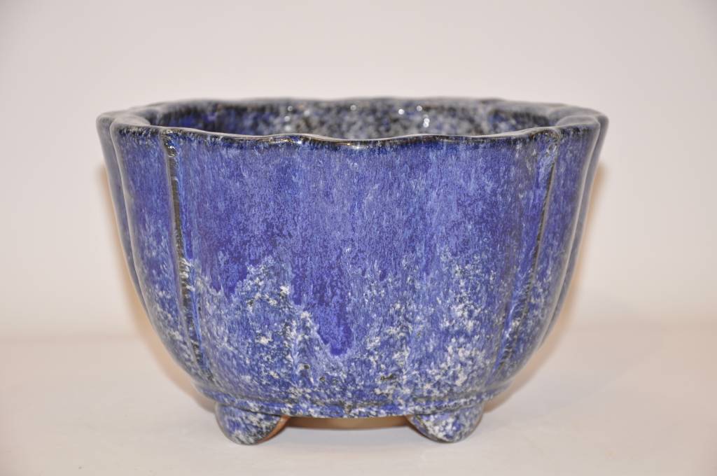 Shuho Lotus pot - Bonsai Plaza