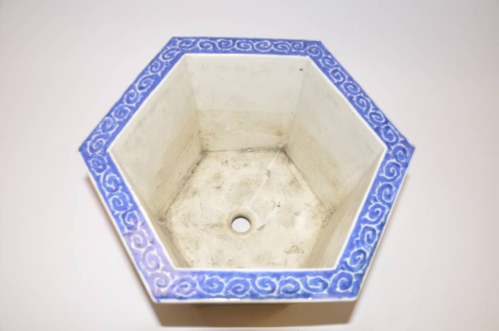 Hexagonal pot - Bonsai Plaza