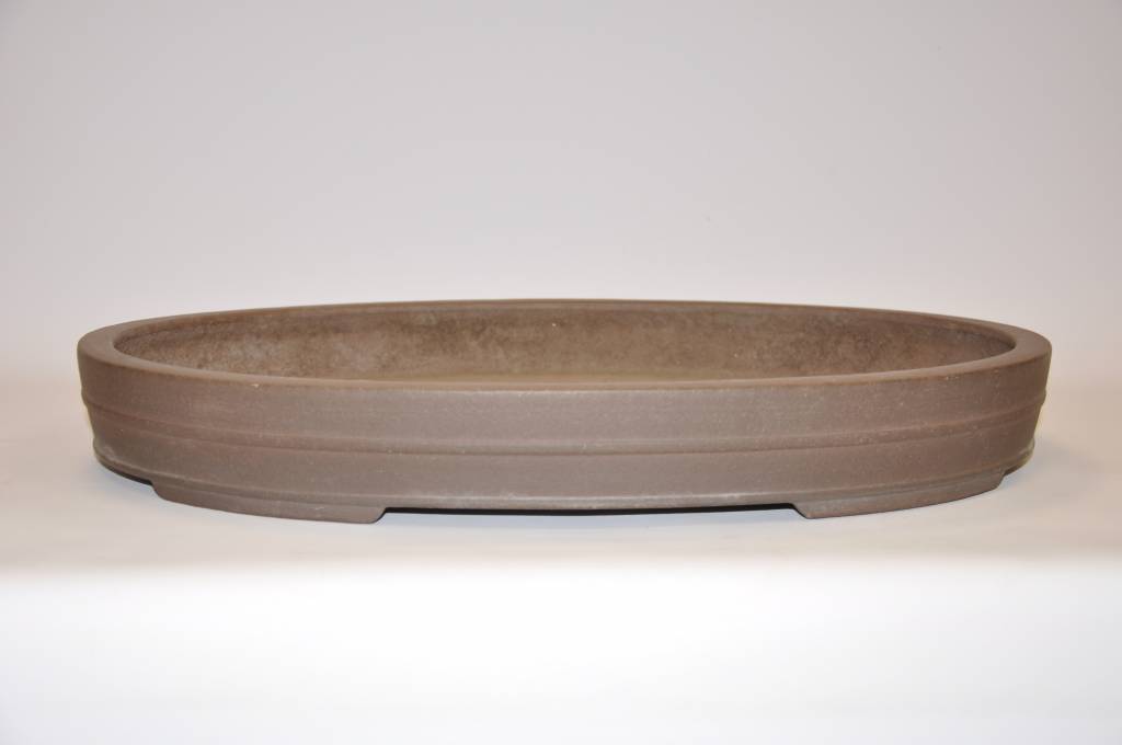 Oval pot - Bonsai Plaza