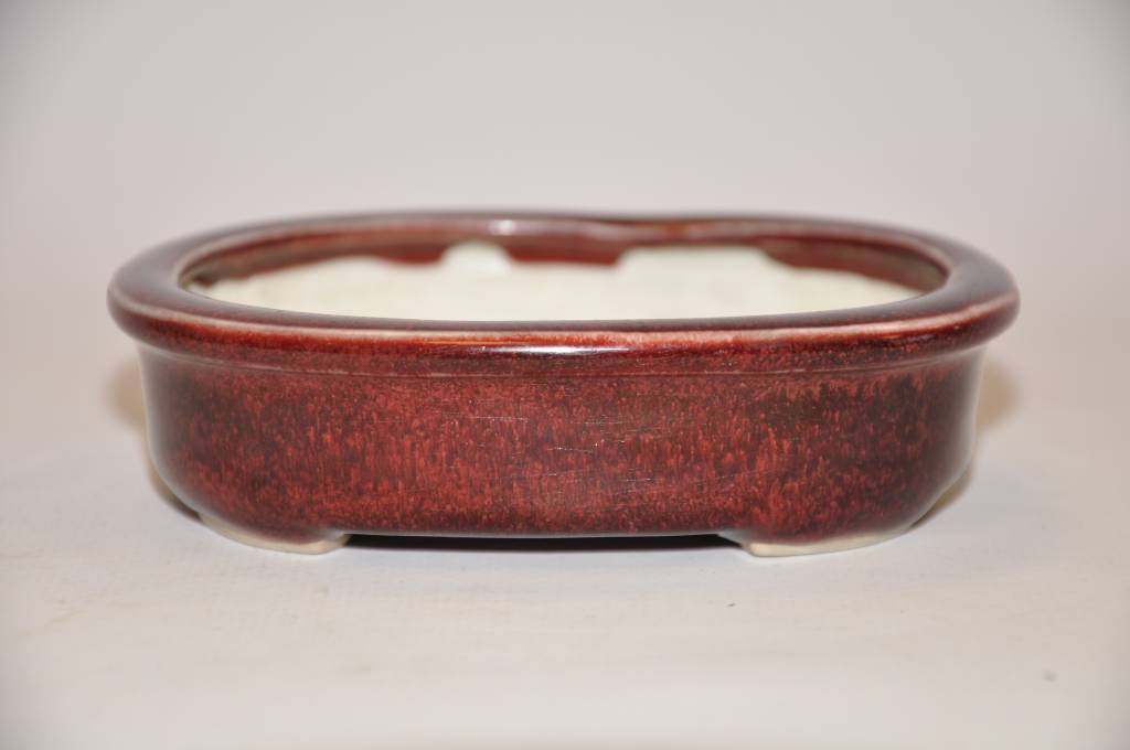 oval pot - Bonsai Plaza