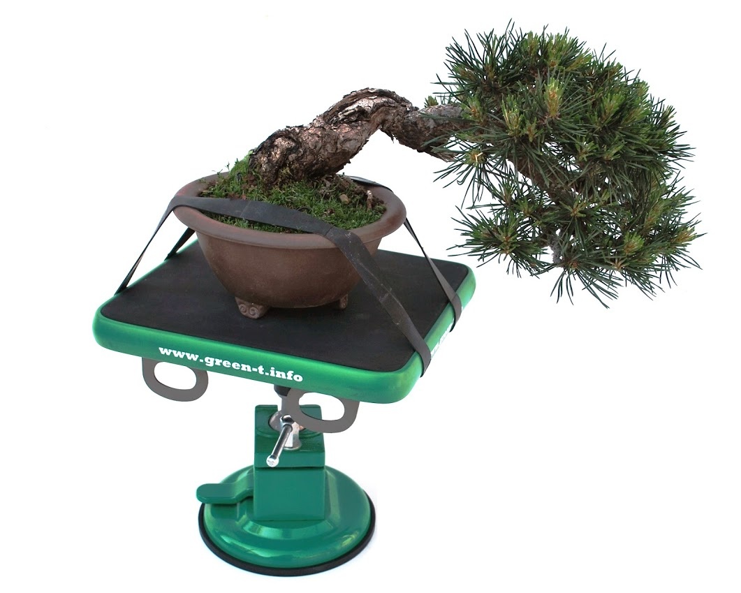 NEW Green T Mini - Shohin Bonsai Work Table Model S - Bonsai Plaza