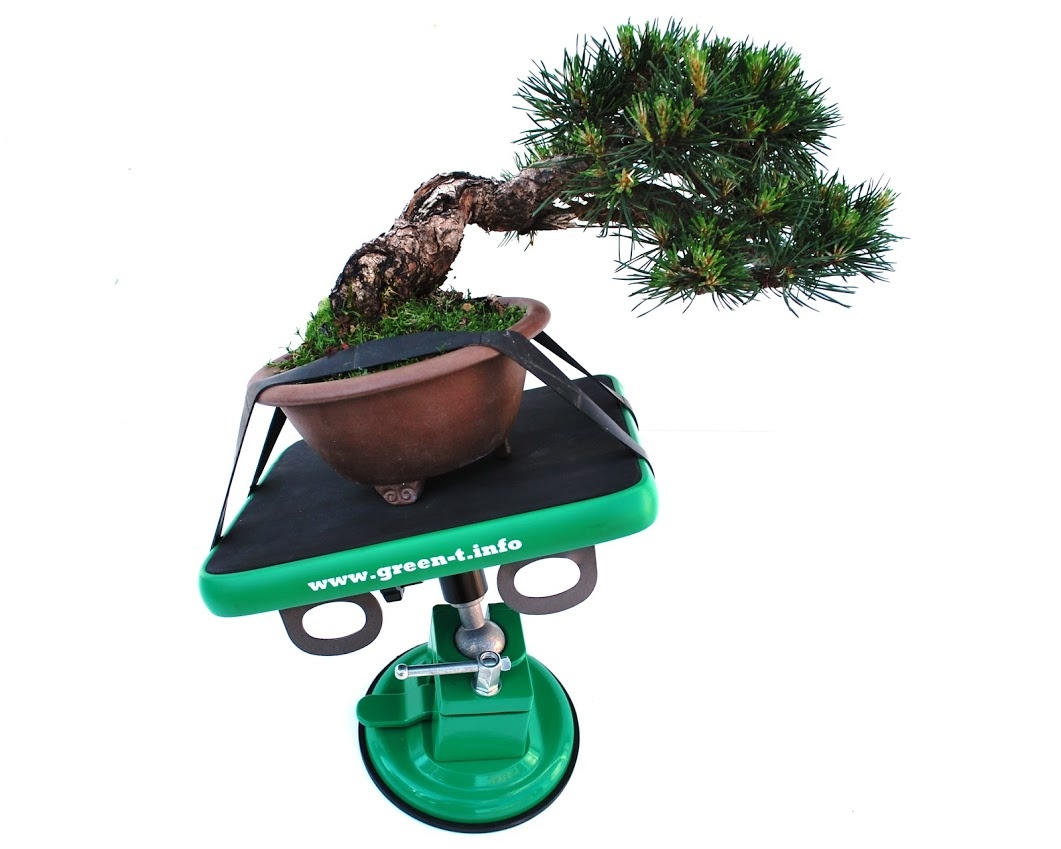 NEW Green T Mini - Shohin Bonsai Work Table Model S - Bonsai Plaza