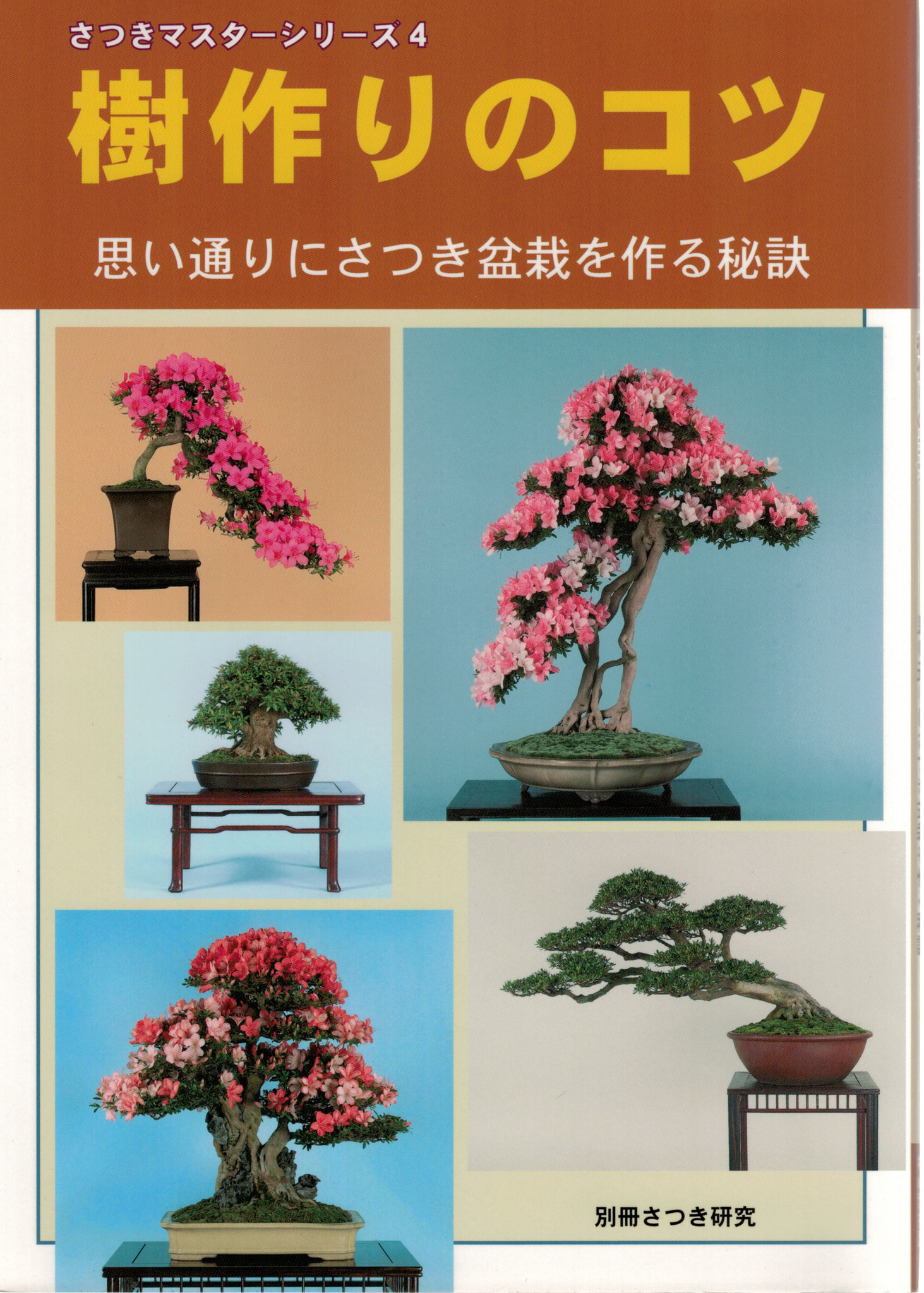 Hoe maak je Satsuki-bonsai nr. 4 | Meneer Masamiyama | Tochinoha | 2017 | Japan - Bonsai Plaza