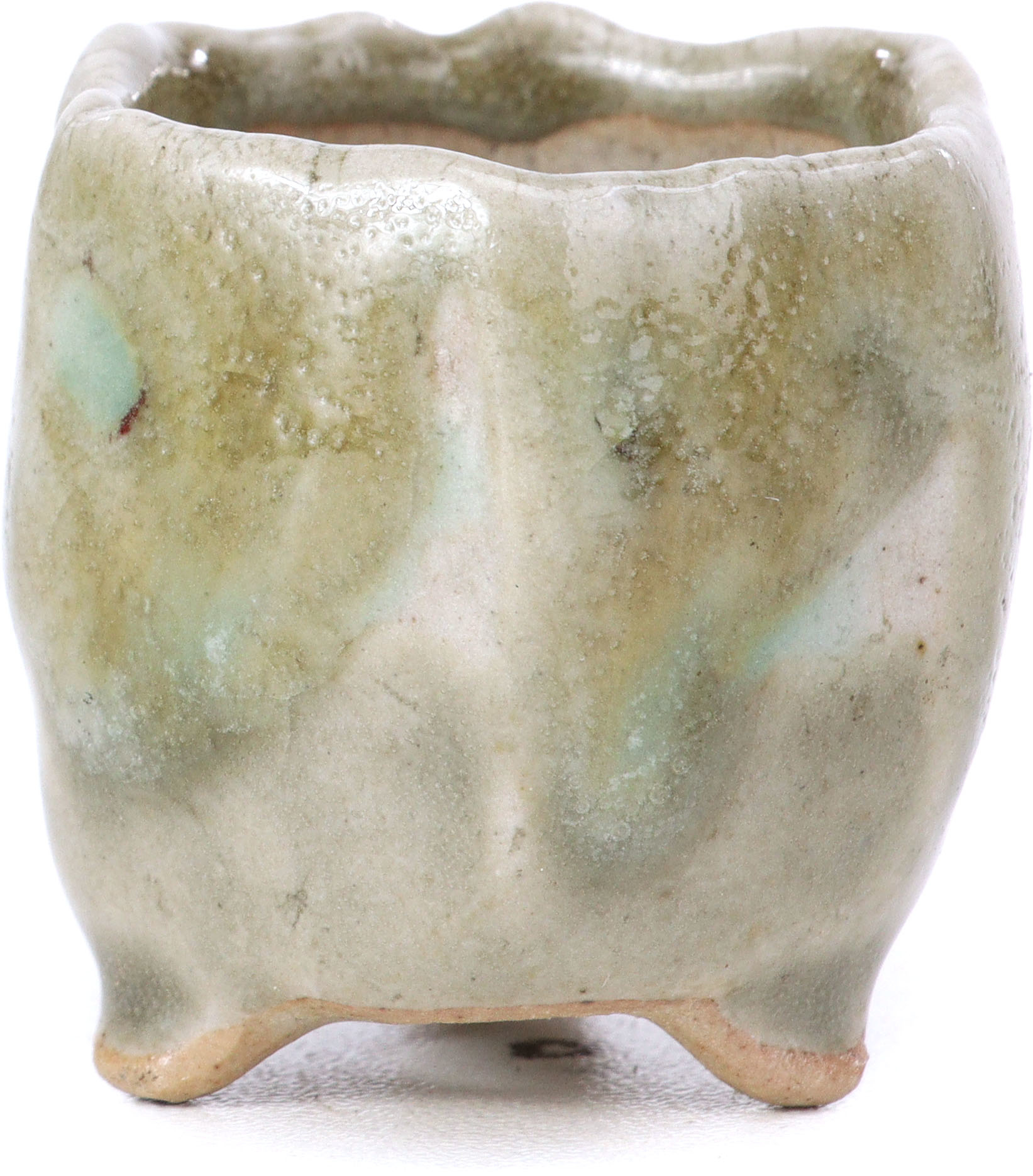Handmade bonsai pot | 4 cm | Origin: Tokoname, Japan - Bonsai Plaza