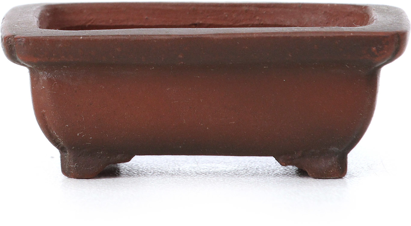 Handmade bonsai pot | 5 cm | Maker: Bigei | Tokoname, Japan - Bonsai Plaza