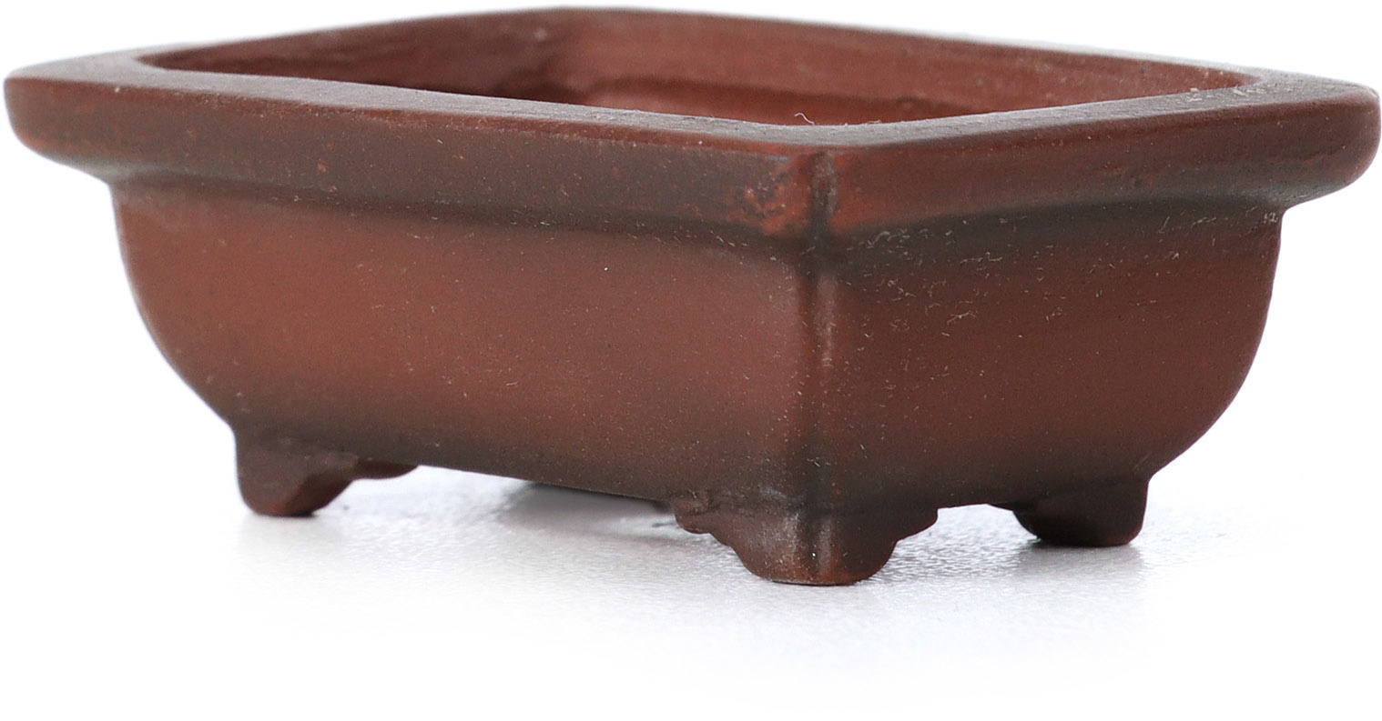 Handmade bonsai pot | 5 cm | Maker: Bigei | Tokoname, Japan - Bonsai Plaza