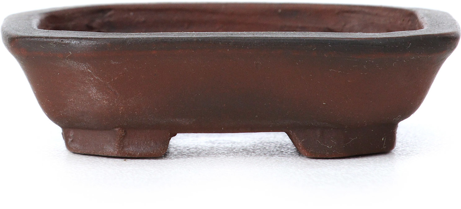 Handmade bonsai pot | 5 cm | Maker: Bigei | Tokoname, Japan - Bonsai Plaza