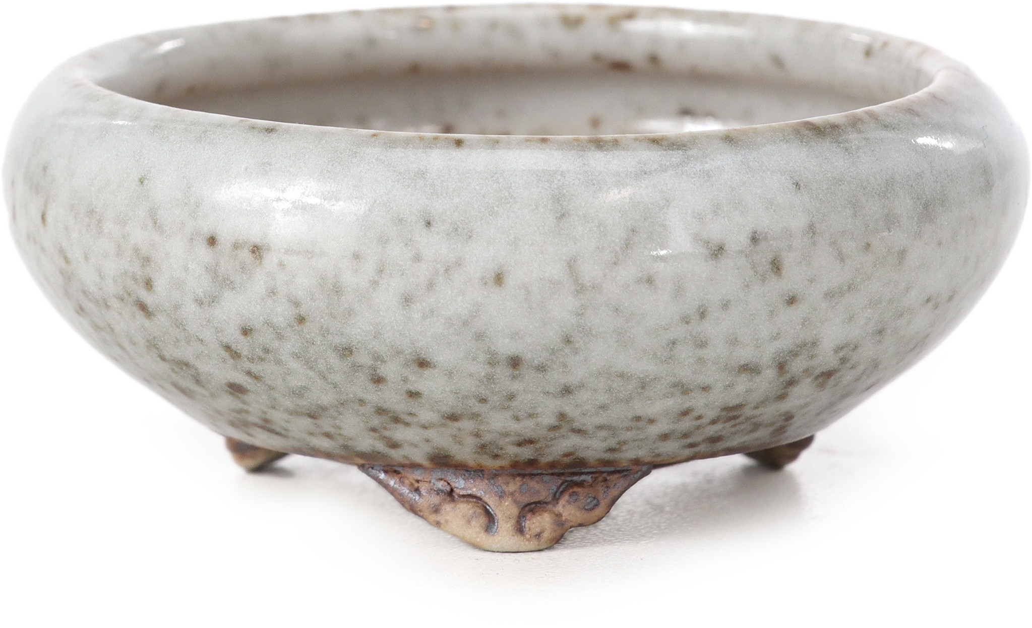 Handmade bonsai pot | 8 cm | Maker: Bigei | Tokoname, Japan - Bonsai Plaza