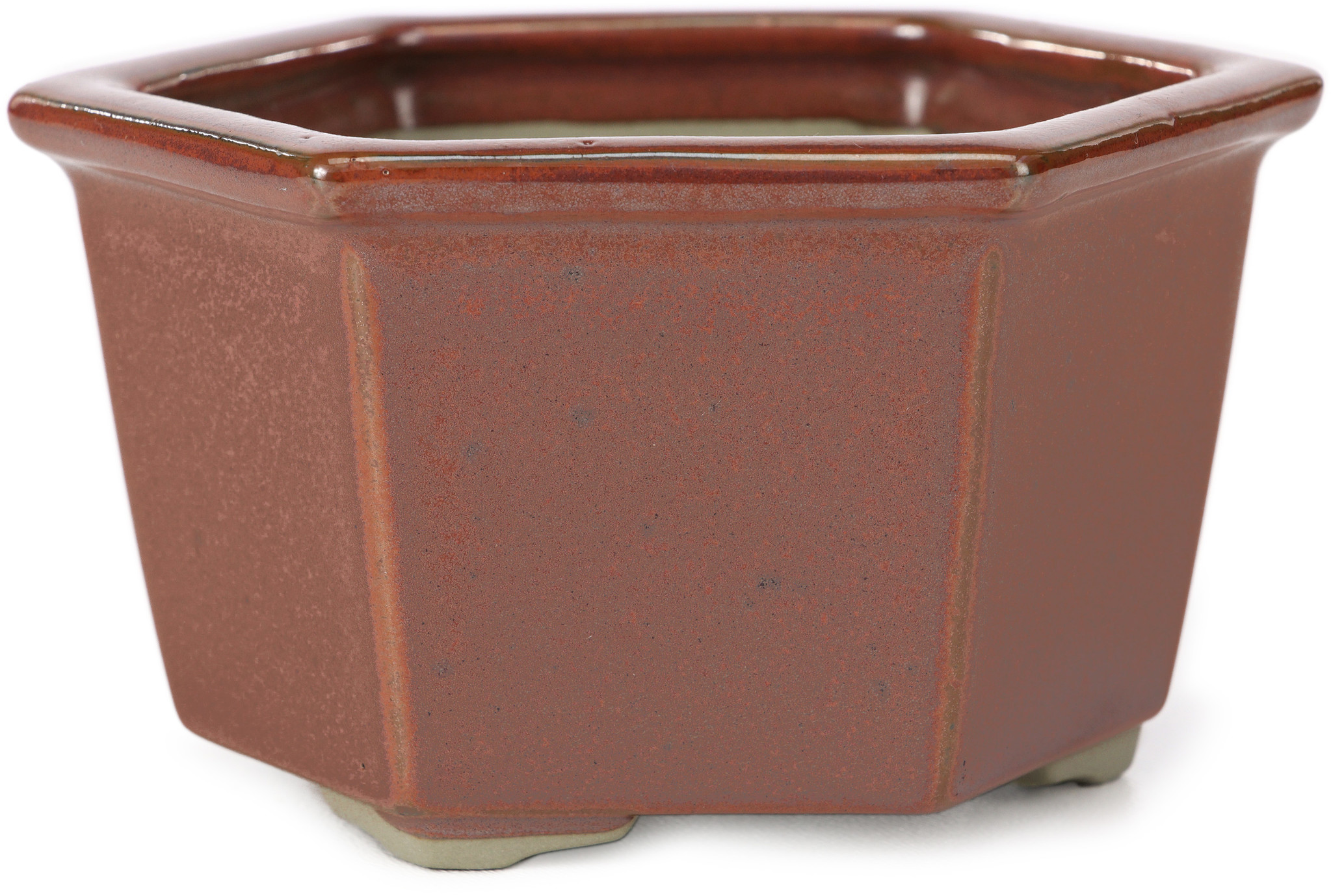 Handmade bonsai pot | 13 cm | Maker: Tosui | Japan - Bonsai Plaza