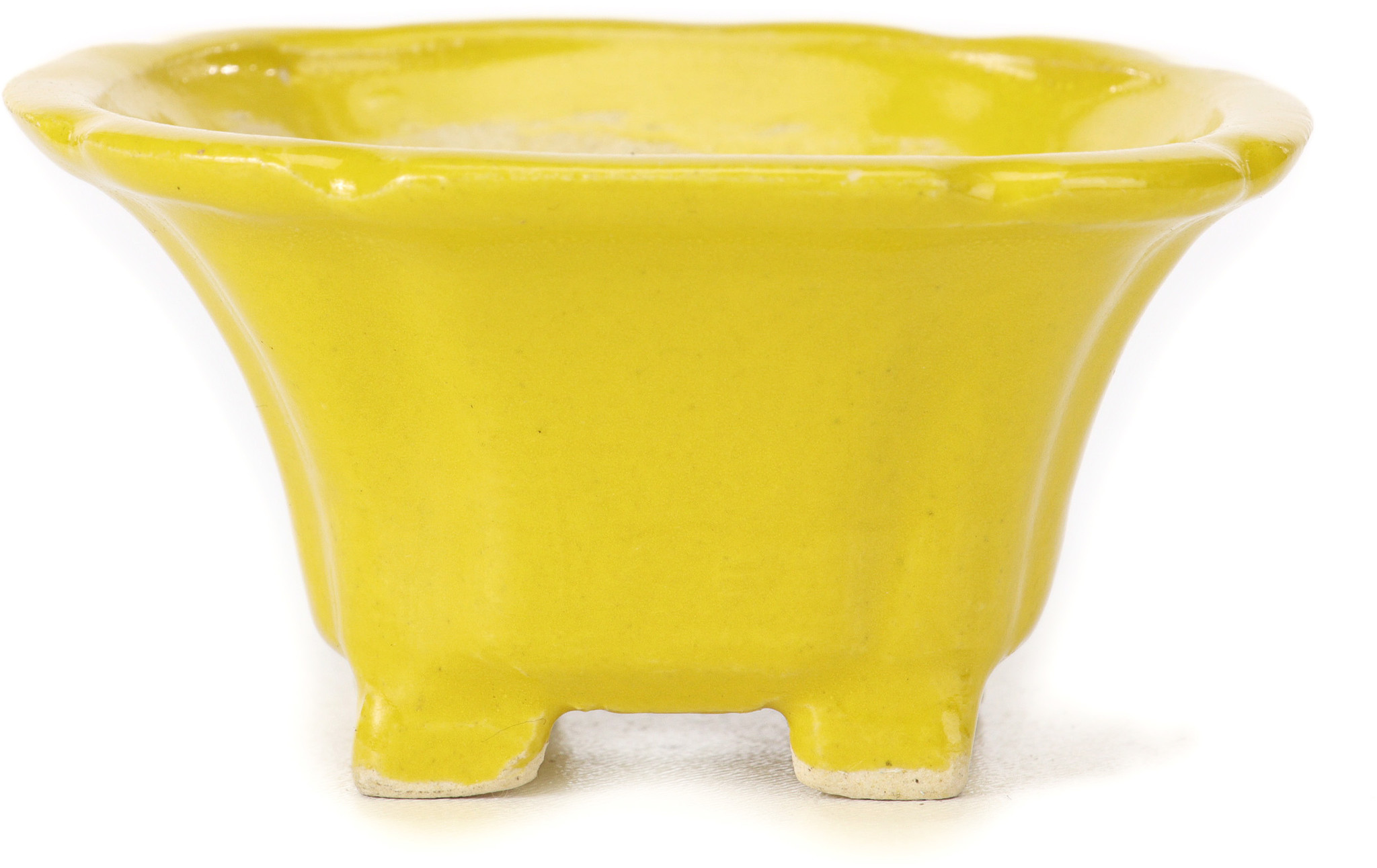 Handgemaakte bonsaipot | 10 cm | Maker: Seto | Japan - Bonsai Plaza