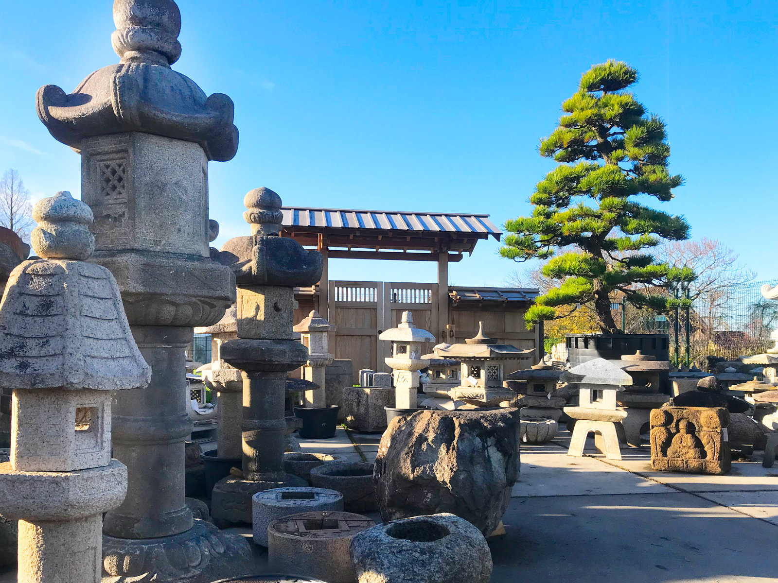 Shirakawa - Bonsai Plaza