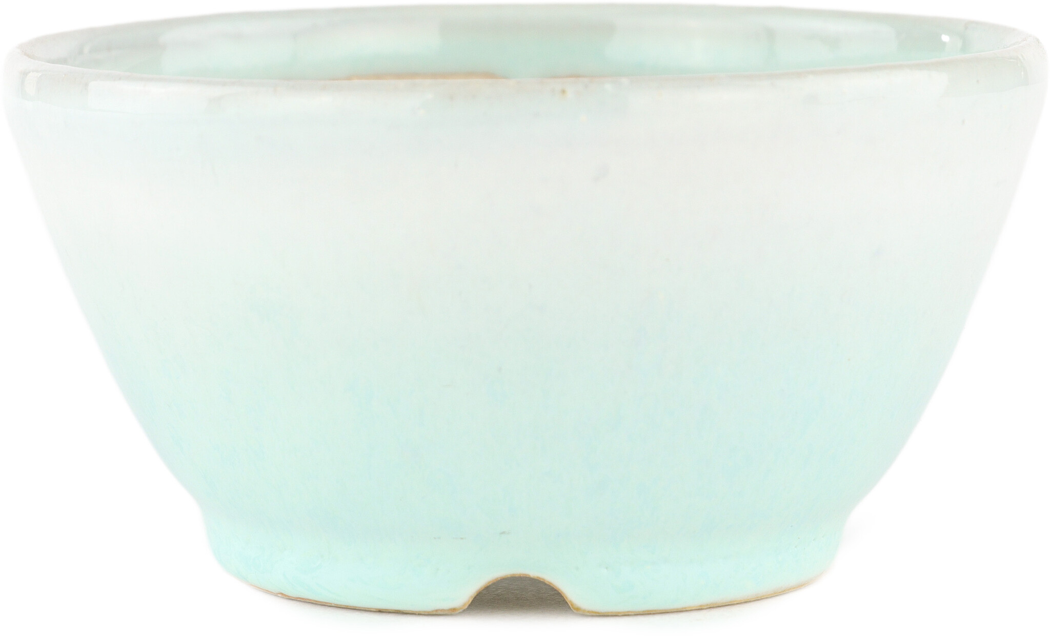 Handmade bonsai pot | 12 cm | Maker: Koyou | Tokoname, Japan - Bonsai Plaza