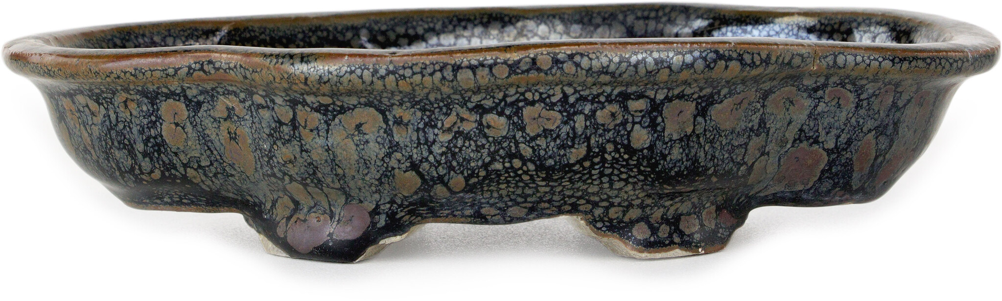 Handmade bonsai pot | 19 cm | Maker: Takao Kouyo | Japan - Bonsai Plaza