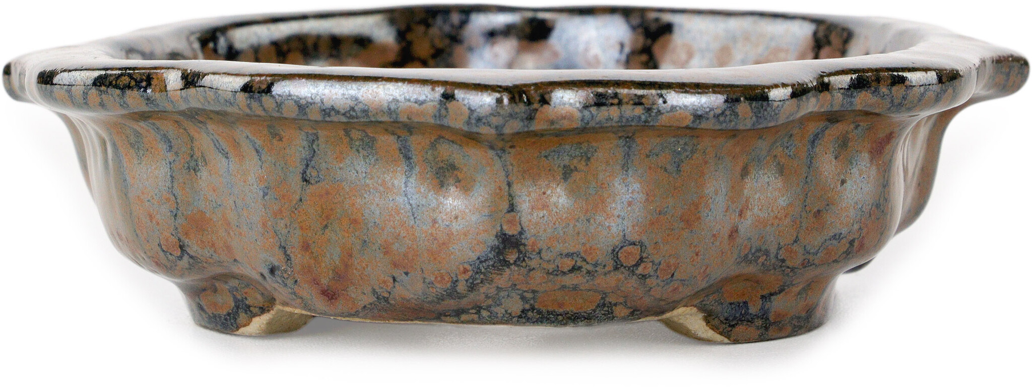 Handmade bonsai pot | 20 cm | Maker: Takao Kouyo | Japan - Bonsai Plaza