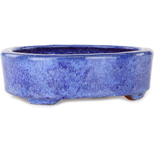 Handgemaakte bonsaipot | 19 cm | Maker: Shuhou | Tokoname, Japan ...