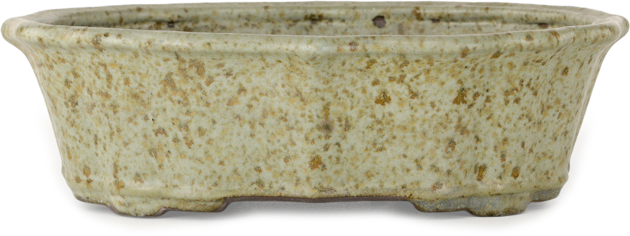 Handmade bonsai pot | 25 cm | Maker: Tosui | Japan - Bonsai Plaza