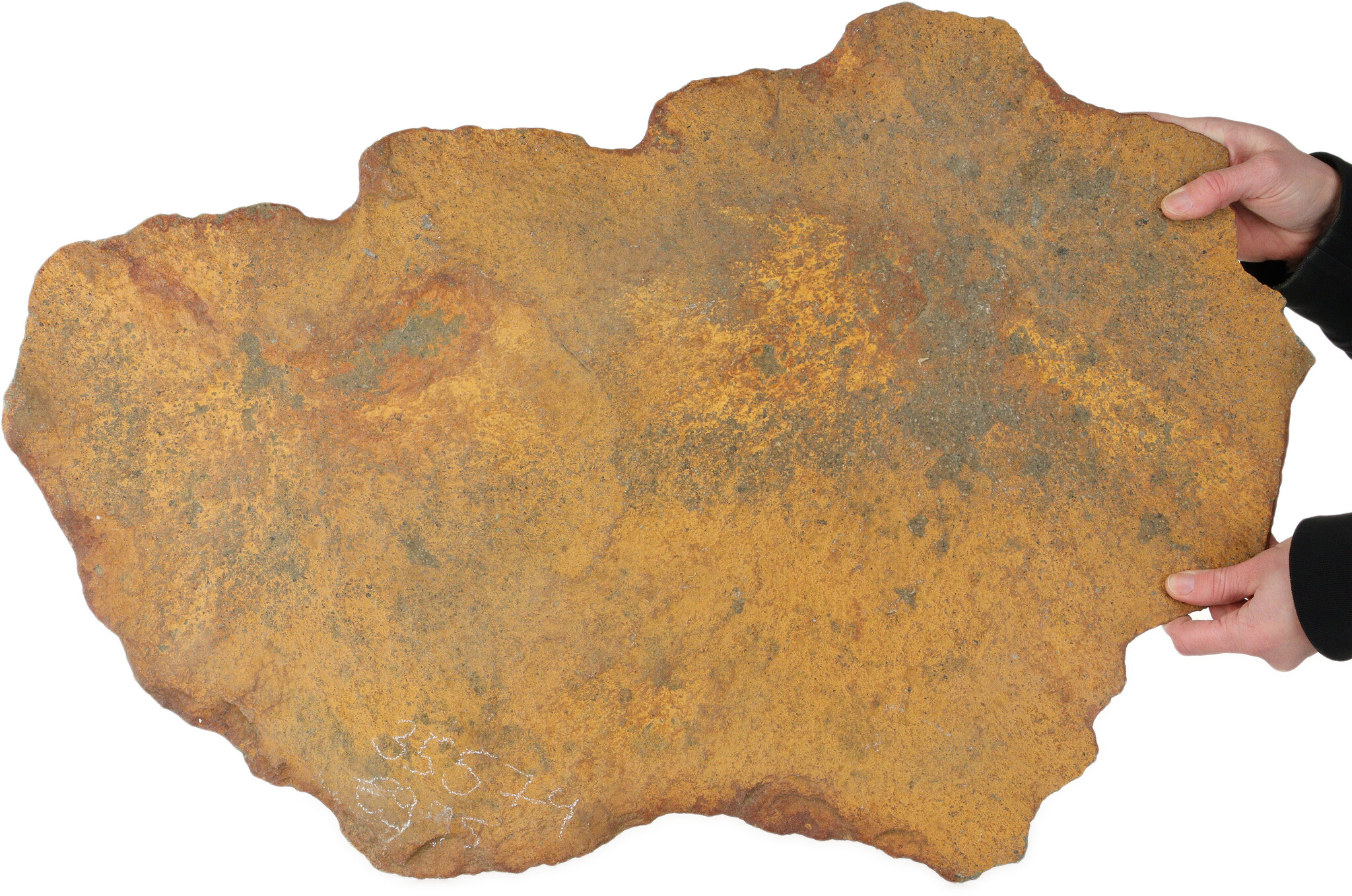 Stone slab for bonsai and group plantings | 74 cm | Origin: Japan ...