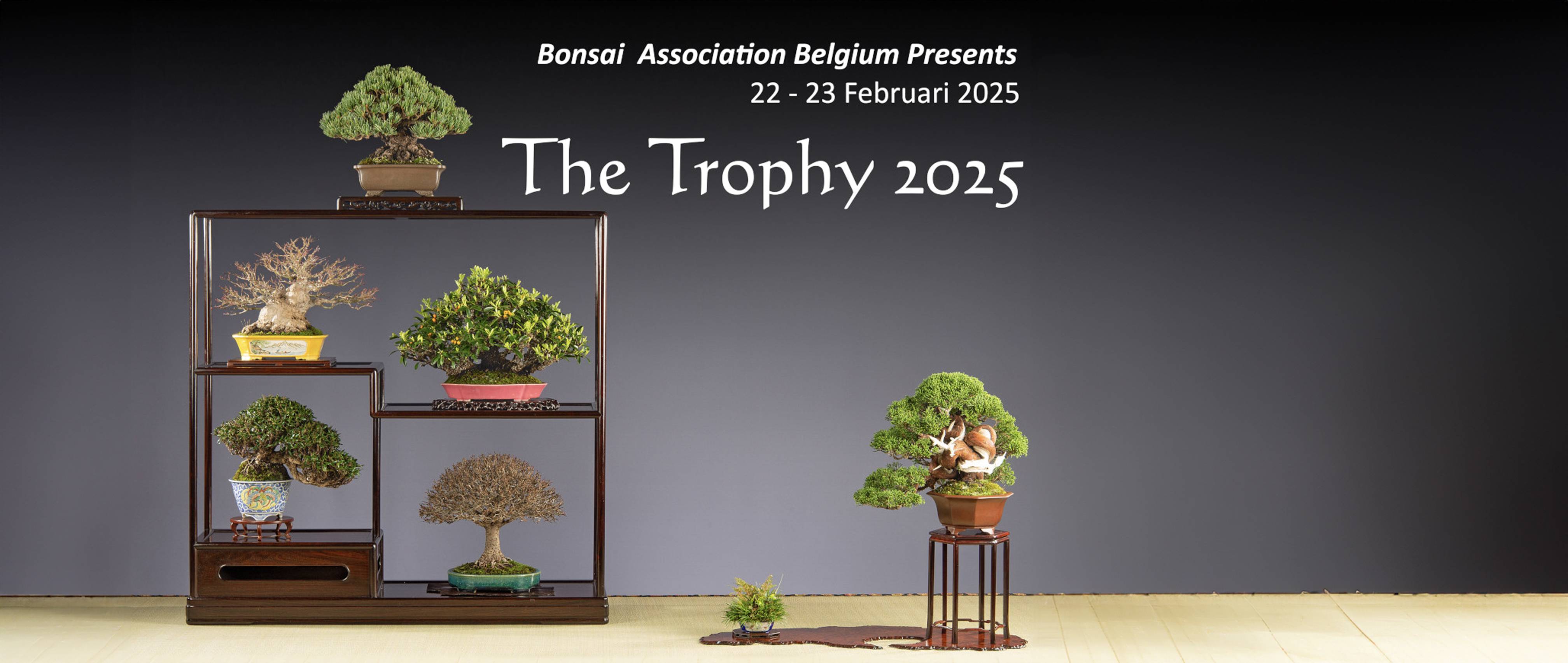 Bonsai Plaza, der Webshop für all Ihre Bonsai und Bonsai-Artikel ...