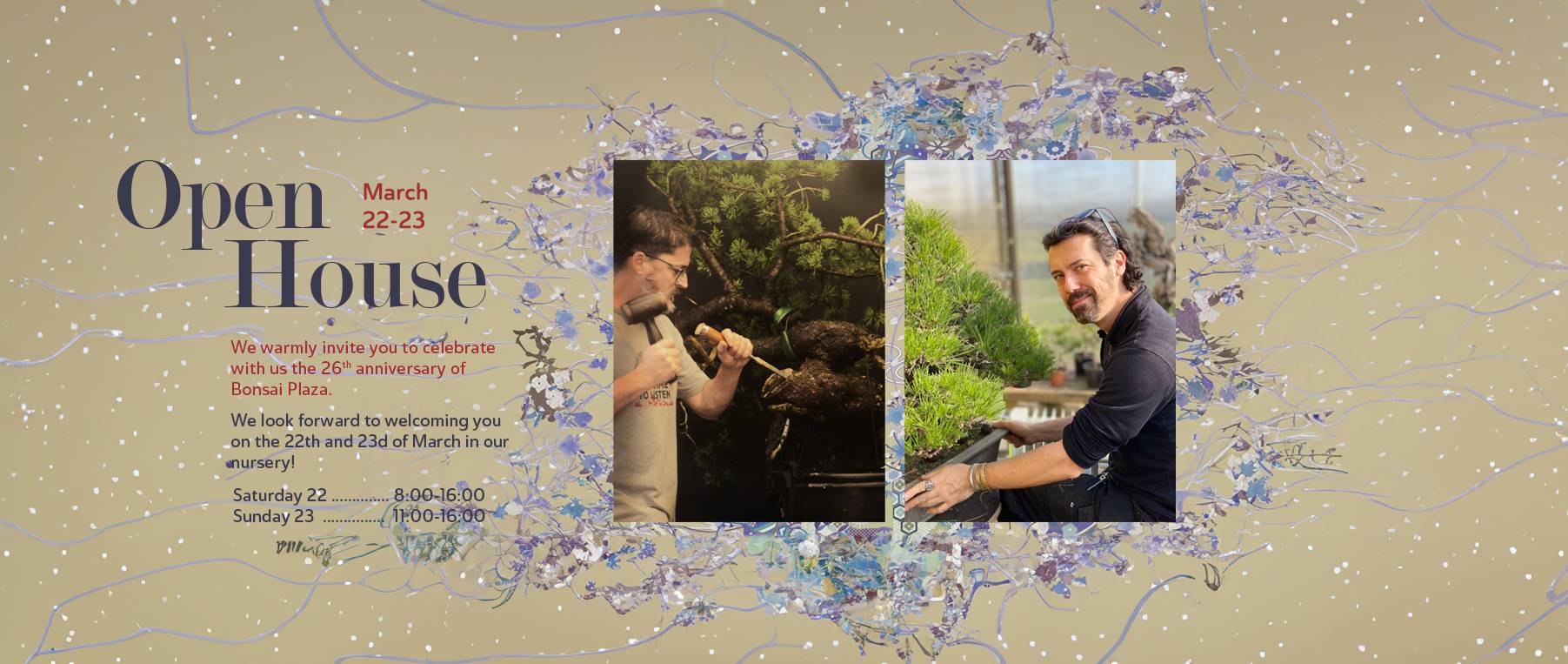 Bonsai Plaza, the webshop for all your bonsai and bonsai supplies ...