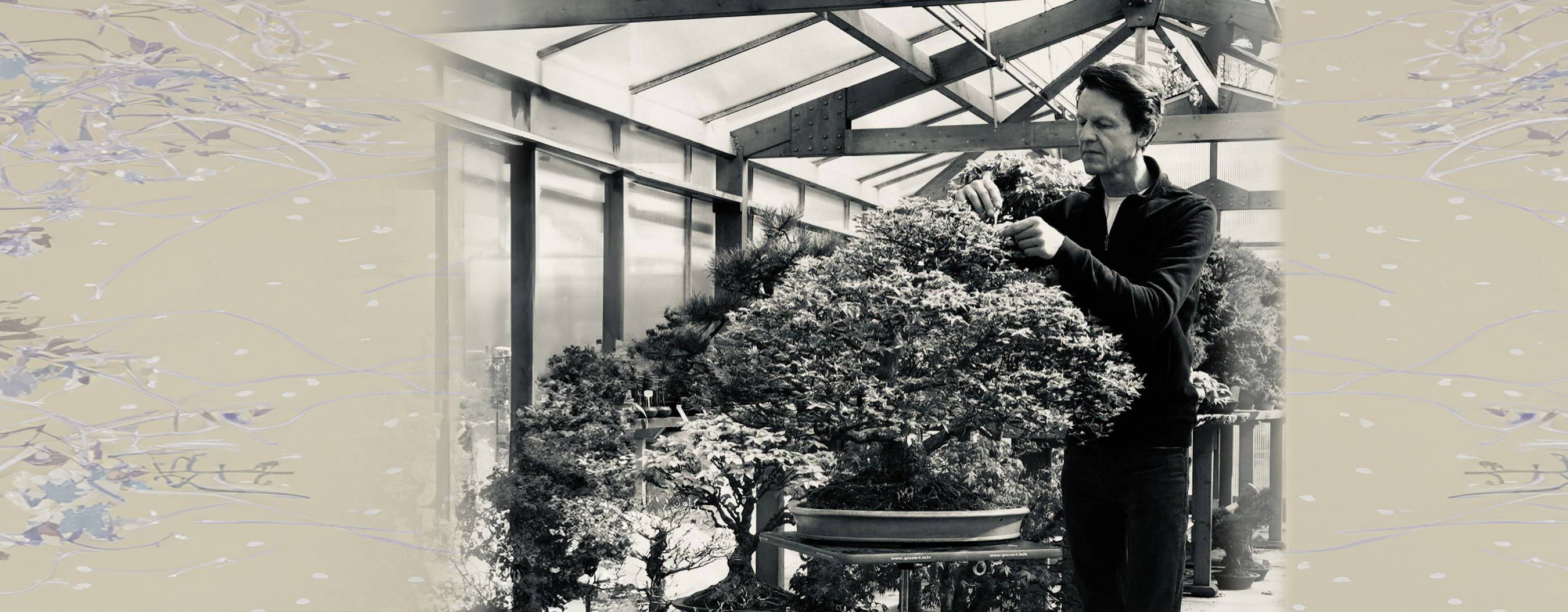 Bonsai Plaza, the webshop for all your bonsai and bonsai supplies ...