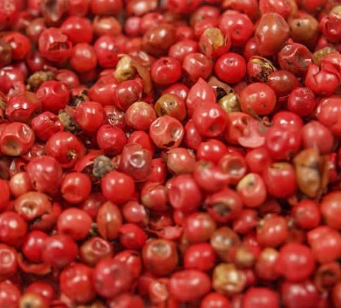 Piper nigrum - Black pepper - Palma Verde Exoten V.O.F.