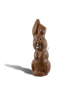 Paaschocolade kopen | Ambachtelijke chocolade voor Pasen - Choco-World.nl