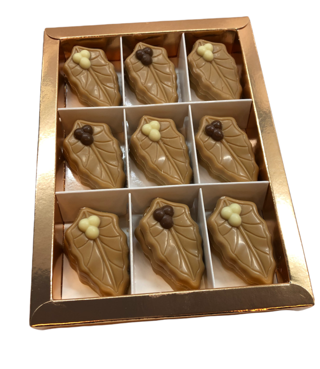 Chocolade Hulstblaadjes melk - Choco-World.nl