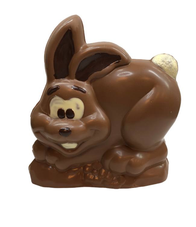 Chocolade haas victor - Choco-World.nl