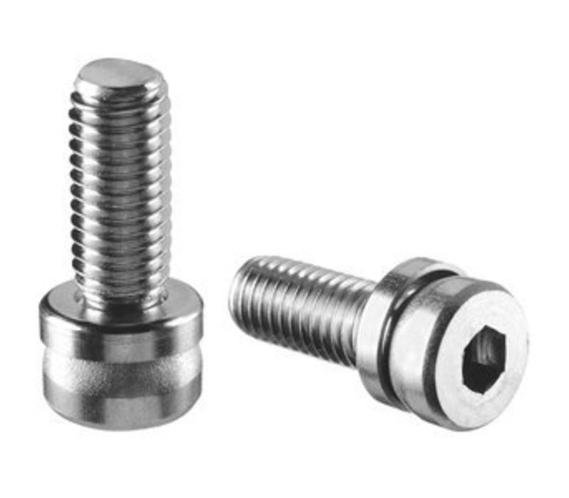 Verstelbare inbus voor schaamshotklem, M8 x 20 mm RVS - Panelzz